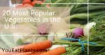 20 Most Popular Vegetables in the U.S. - YouEatPlants.com