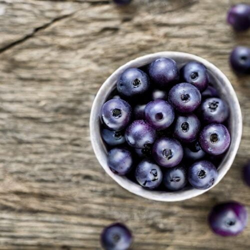 9 Berries that Start with A (The Letter) - YouEatPlants.com