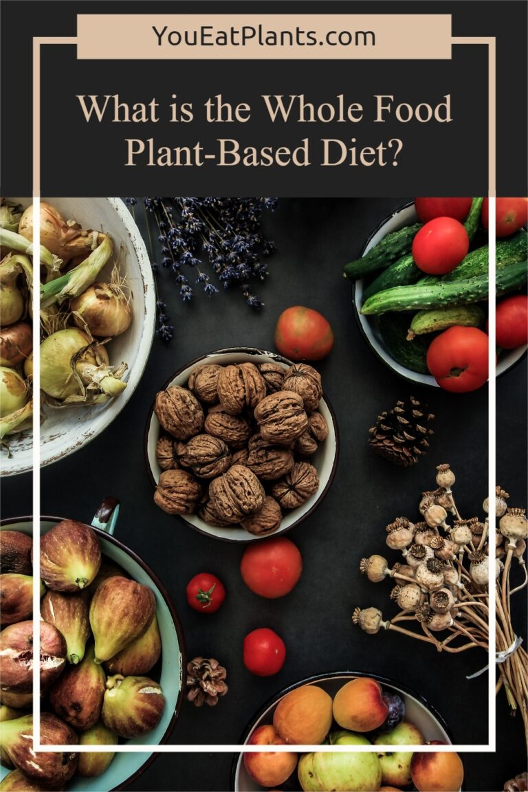 What is the Whole Food Plant-Based Diet? - YouEatPlants.com