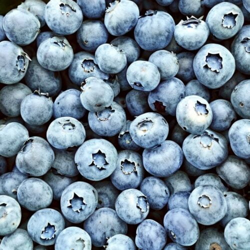 Berries that Start with B - YouEatPlants.com