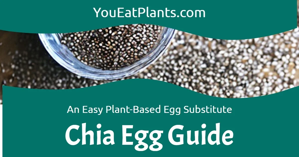 The Chia Egg - An Easy Plant-Based Egg Substitute