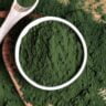 Chlorella vs Spirulina: Why I Chose Chlorella (Benefits & Side Effects)