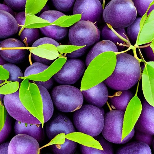 What is a Blue Damson Plum? Learn About The Unique Fruit