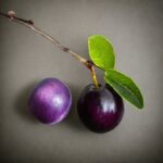 Damson vs Plum - The Difference Between The Two Fruits