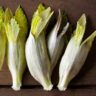 Comparing Chicory vs Endive: Nutritional Differences, Culinary Uses ...