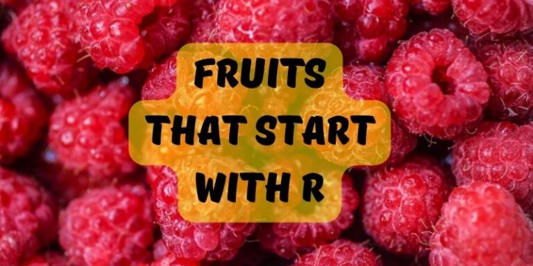 A Look At Fruits That Start With The Letter R