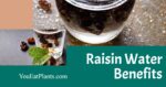 The Benefits of Drinking Raisin Water - YouEatPlants.com