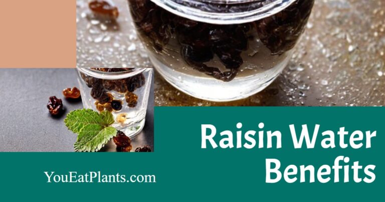 The Benefits of Drinking Raisin Water - YouEatPlants.com
