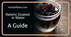 Raisins Soaked in Water - A Guide - YouEatPlants.com