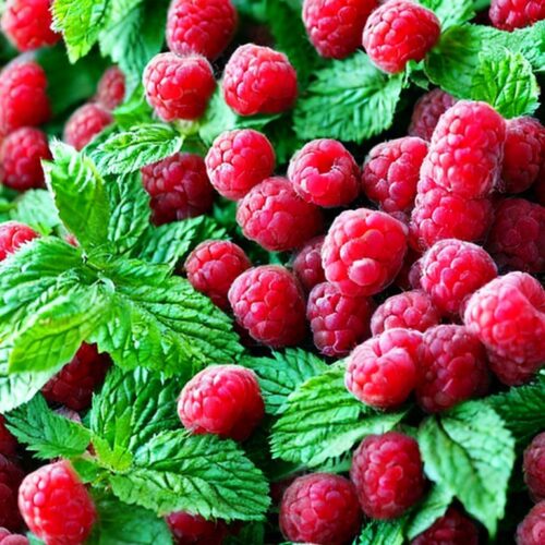 List of Berries A to Z (Names of Berry Fruits)
