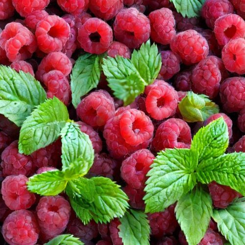 Fruits and Vegetables that Start with R (The Letter)