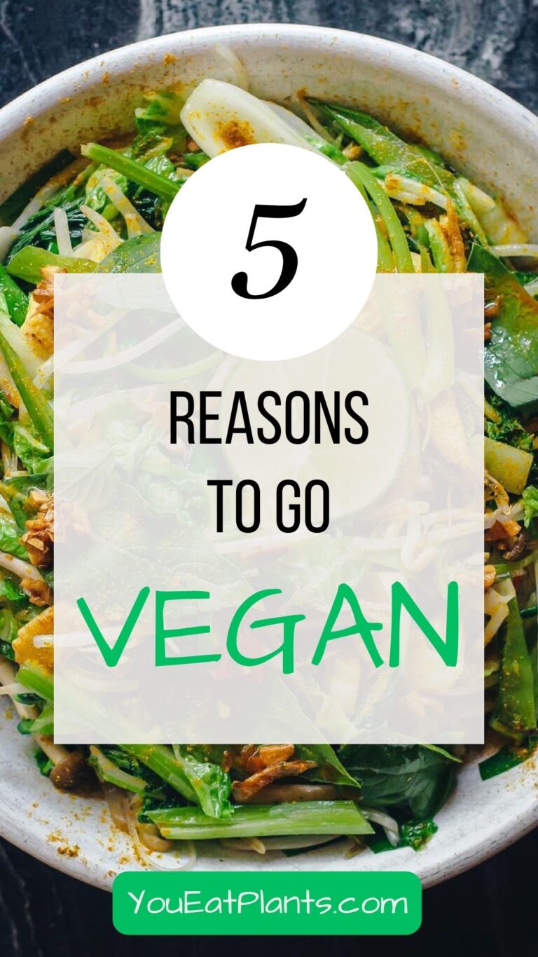 5 Reasons to Go Vegan - YouEatPlants.com