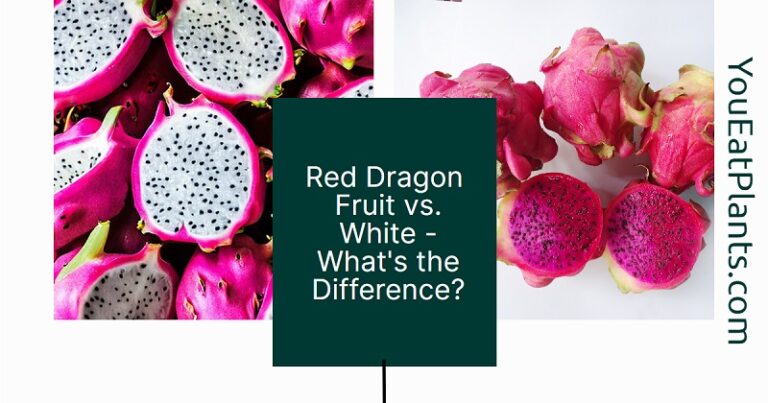 Red Dragon Fruit vs. White - What's the Difference?