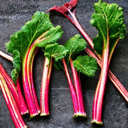 Popular Vegetables that Start with R - YouEatPlants.com