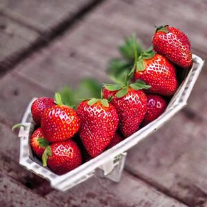 List of Berries A to Z (Names of Berry Fruits)