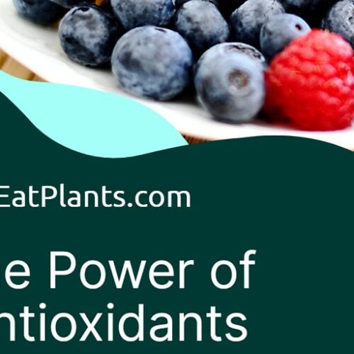 What Are Antioxidants? (Here's What You Should Know)