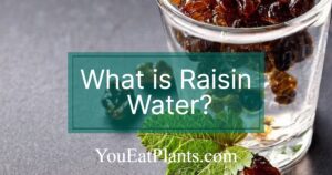 What is Raisin Water? - YouEatPlants.com